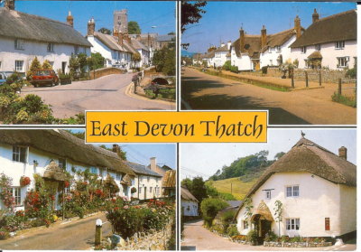 East Devon Thatch Multiview - Posted 1991 - J Salmon, Sevenoaks | eBay UK