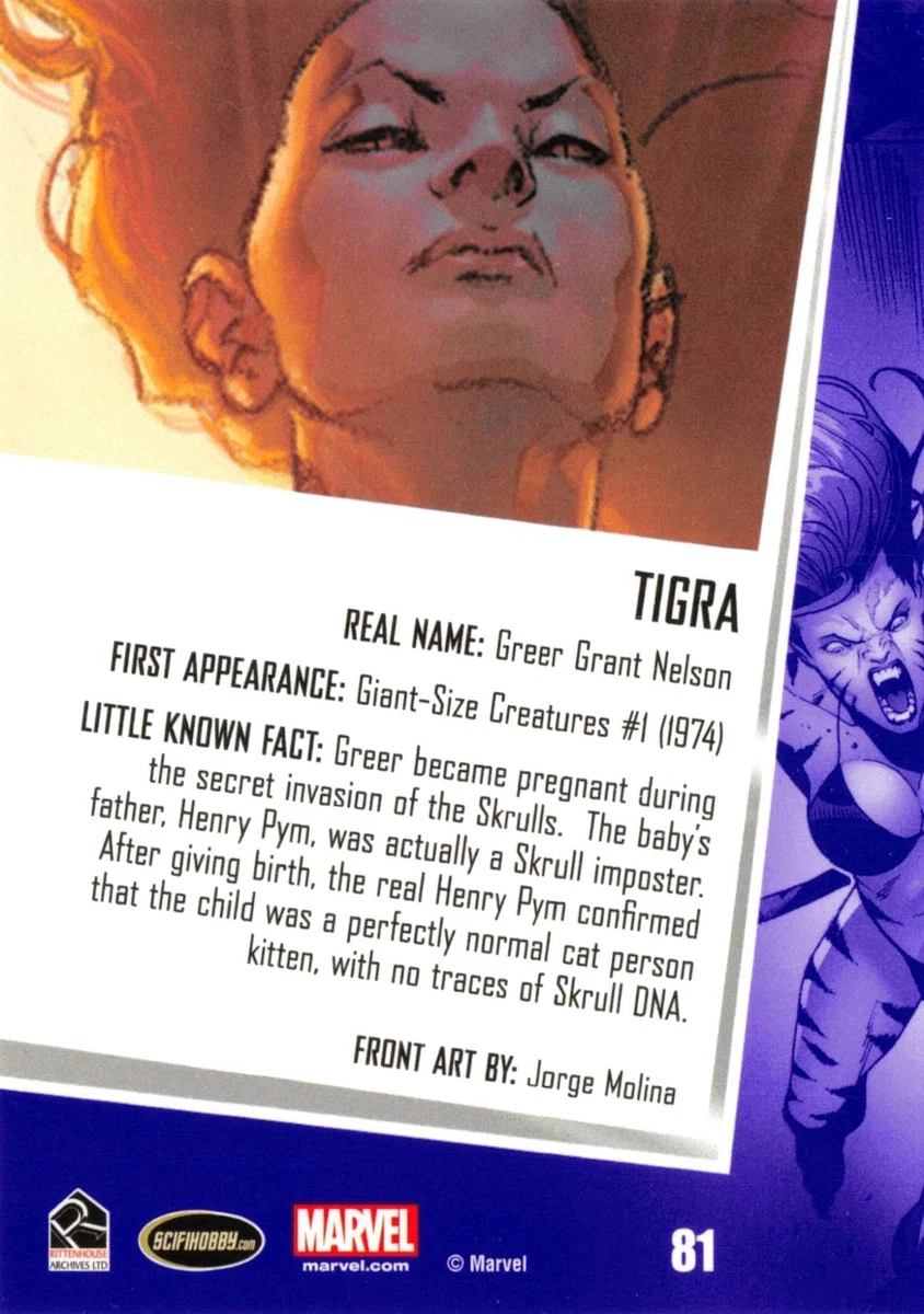 Tigra Marvel Pregnant