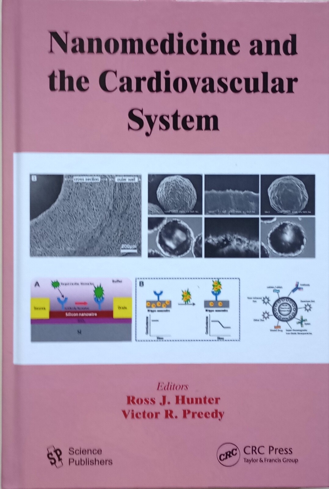 Nanomedicine and the Cardiovascular System by Victor R. Preedy (2011 ...