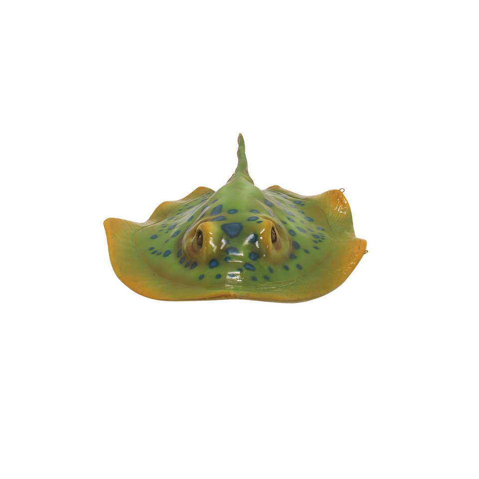Sting Ray Colorful Life Size Statue Hanging 5 FT | eBay