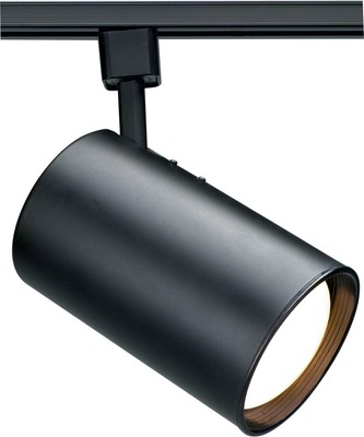 Nuvo Lighting TH203 Black Single Light R30 Straight Cylinder Track Head ...