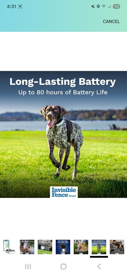 Invisible Fence Brand Dog Collar with Power Cap and Tractive GPS ...