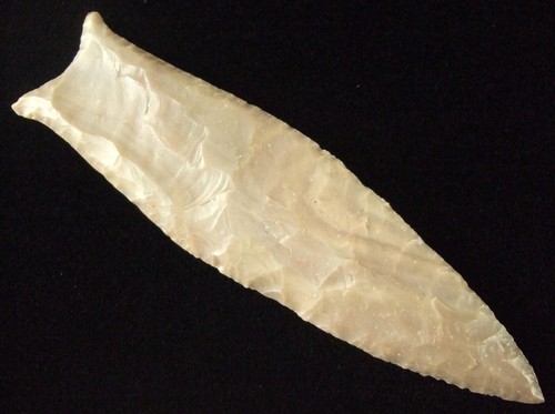 Exceptionally Fine 4 1/16 inch Ohio Cumberland Point with COA ...