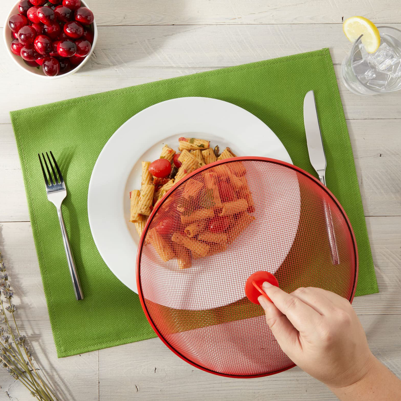 2pcs Food Protector Portable Handle Dustproof Table Outdoor Picnic Food ...