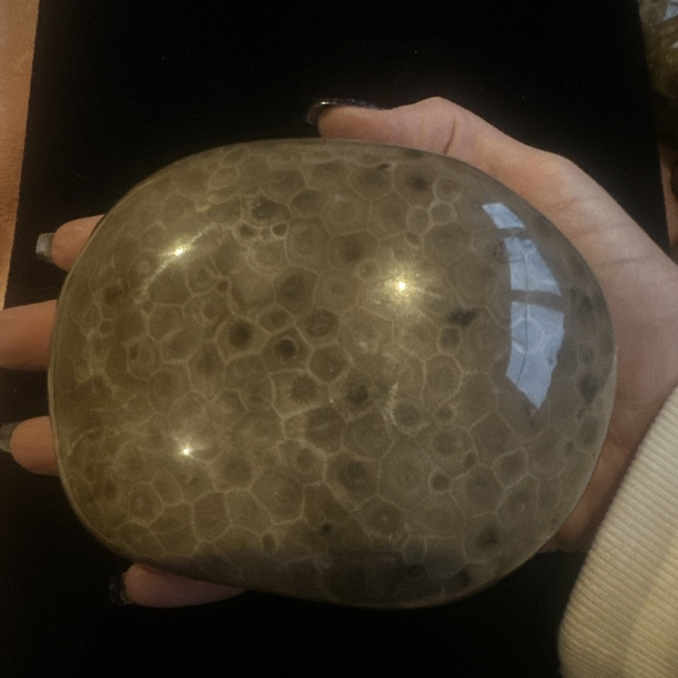 Hand polished Petoskey Stone, XXLg Size. Semi precious, treasure, gift ...