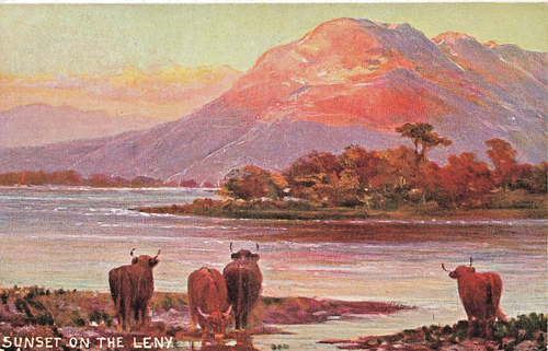 HIGHLAND CATTLE~SUNSET ON THE LEVY RIVER SCOTLAND~HILDESHEIMER POSTCARD ...