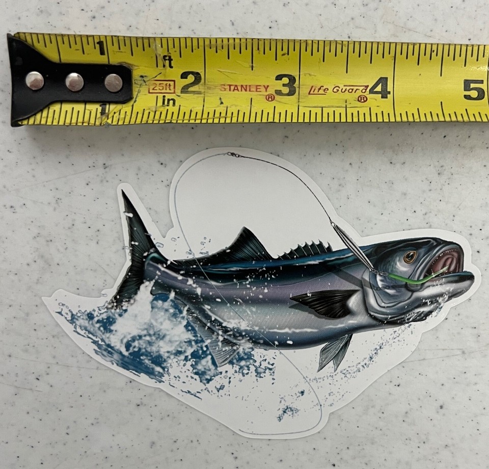 Assorted Fish Fishing Stickers/Decals For Tackle Box Boat or Vehicle ...