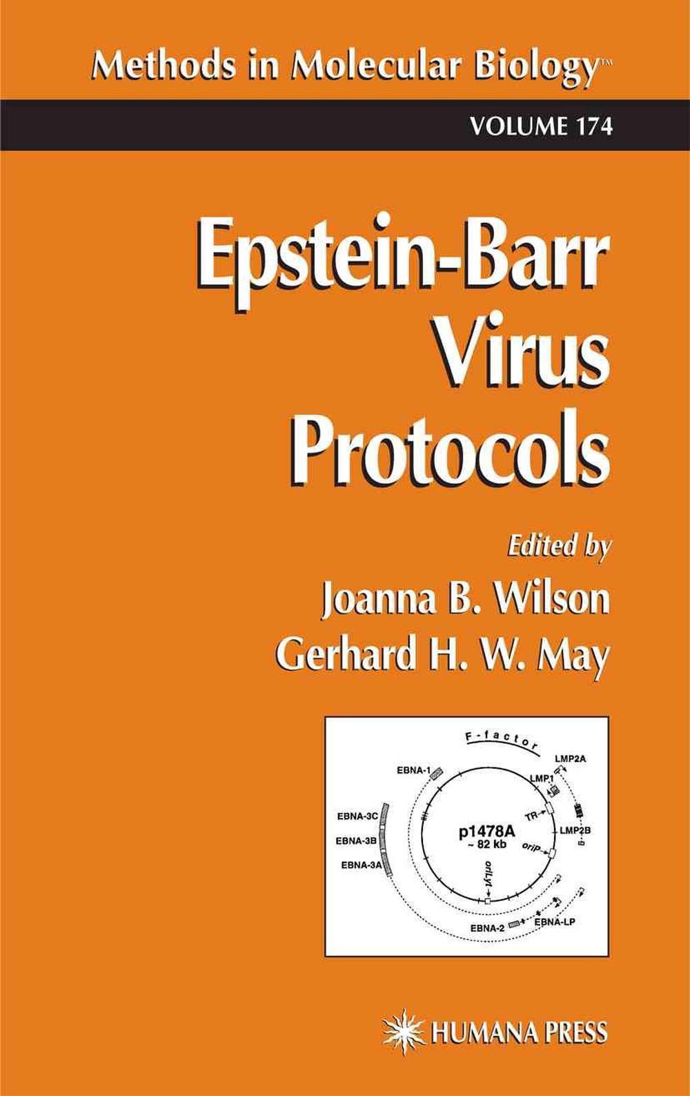 Epstein-Barr Virus Protocols by Joanna B. Wilson (English) Paperback ...