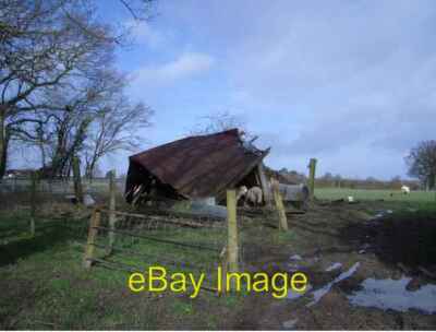 Photo 6x4 Sheep Shelter near Cowbeech Trolliloes This collapsed sheep ...