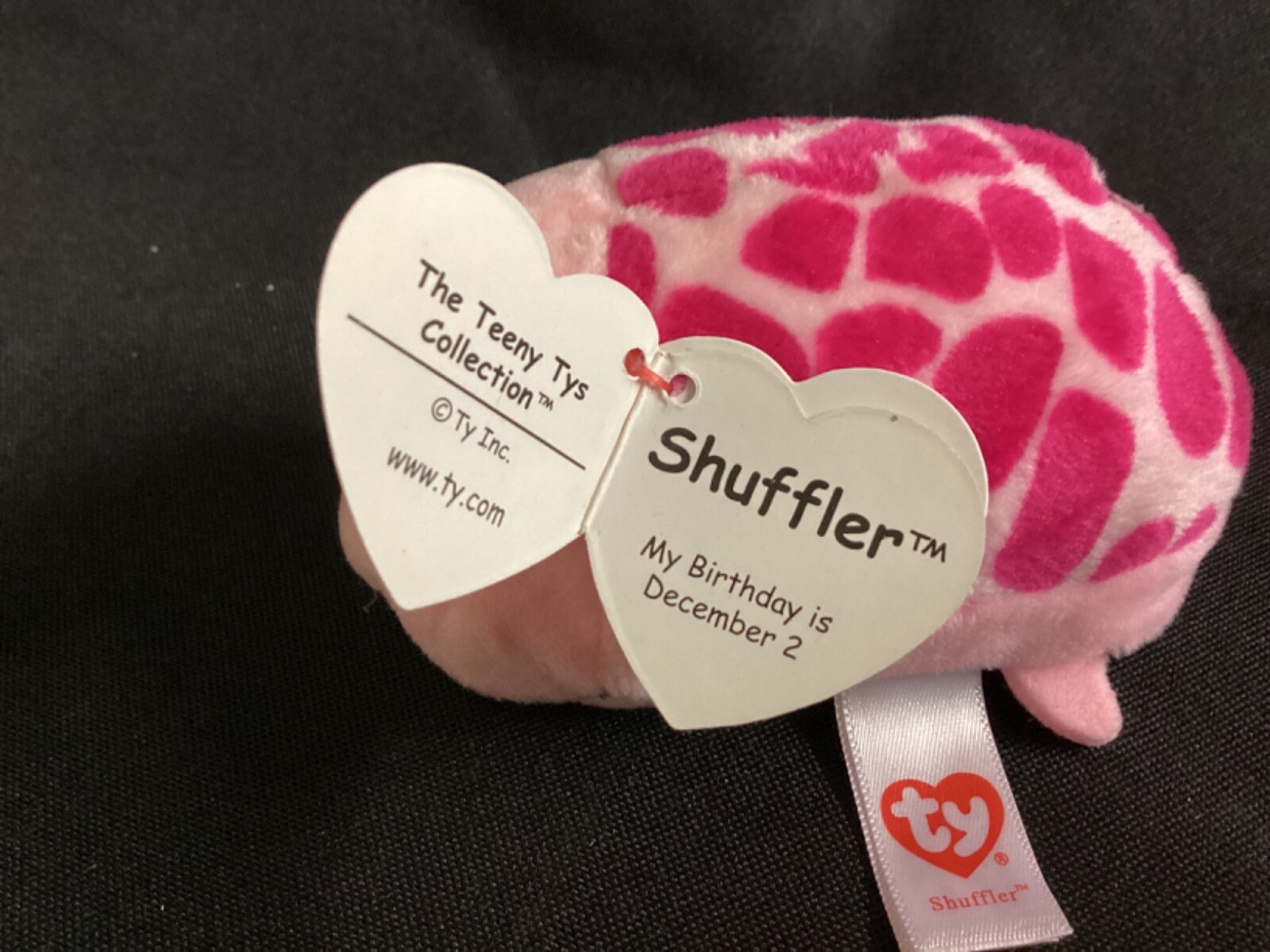 Shuffler Pink Turtle Teeny TYS 4 Inch - Stuffed Animal by Ty 42145 for ...