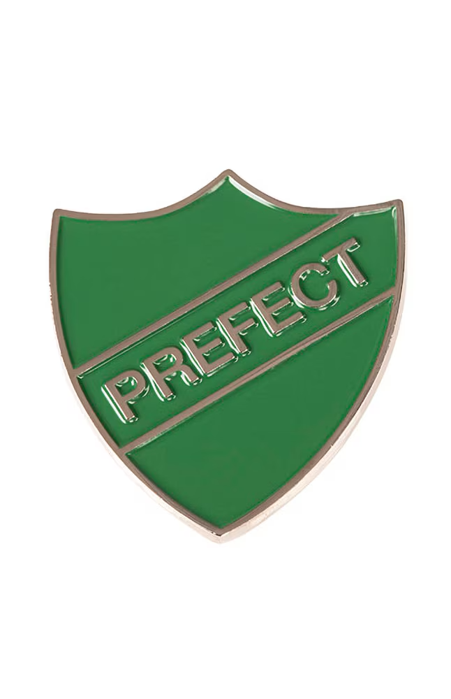 Slytherin House Prefect Pin Hogwarts Harry Potter Wizarding World ...