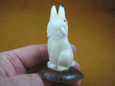 tne-wol-324-d) white howling Wolf TAGUA NUT Figurine Vegetable wild ...