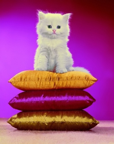 Chromotherapia: Feel-Good Color Photography by Maurizio Cattelan ...