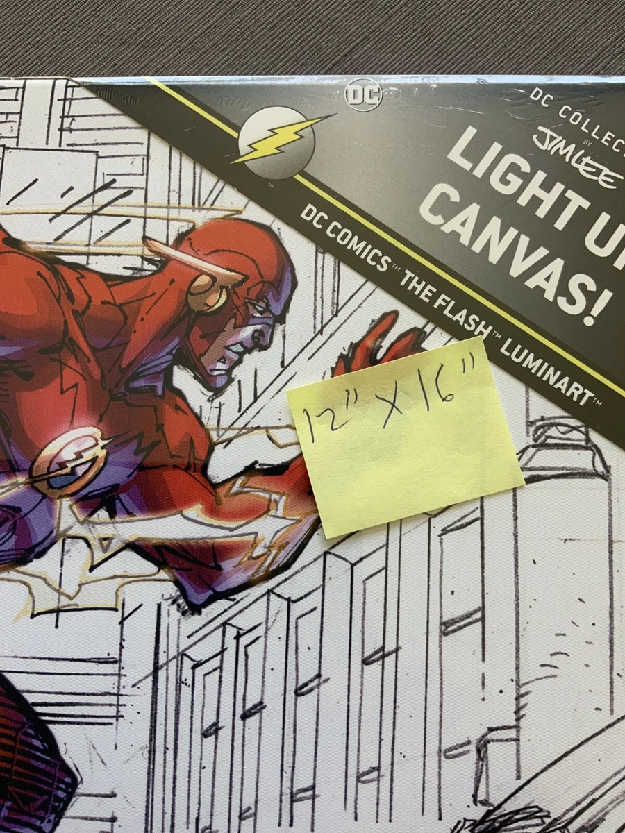 The Flash New 52 Jim Lee