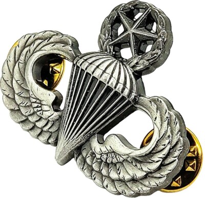 US ARMY Airborne MASTER Parachutist Paratrooper Jump Wings Pin Oxidized ...