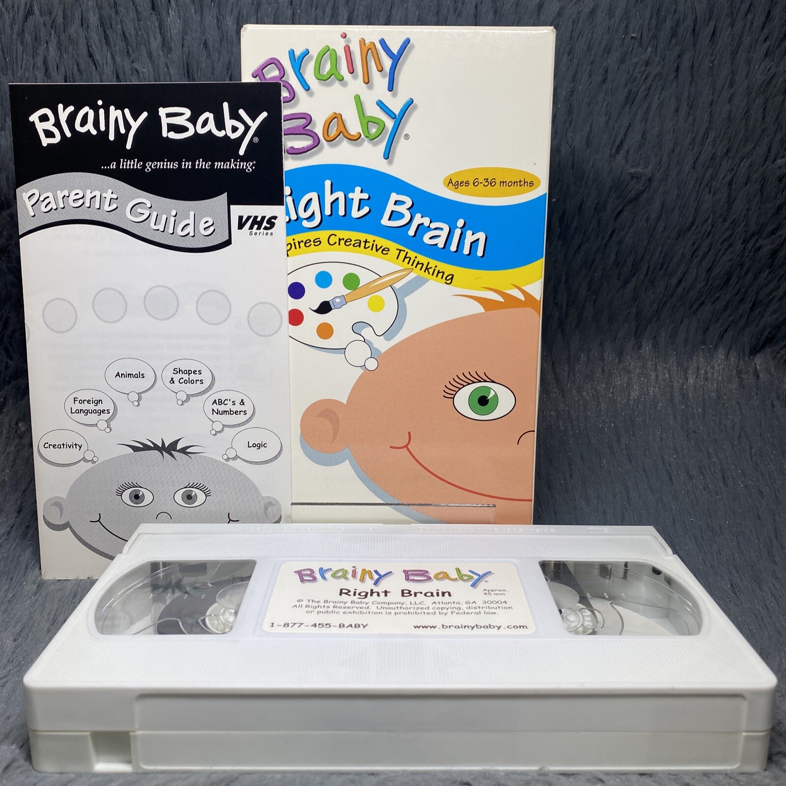 Brainy Baby: Right Brain VHS Tape Inspires Creative Thinking, Sing ...