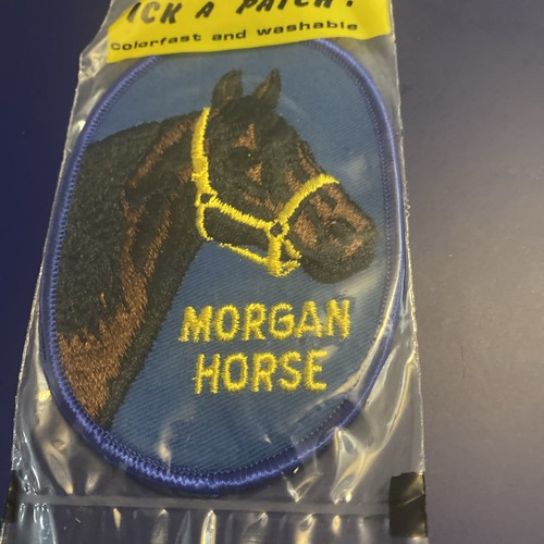 VTG MORGAN HORSE Sew On Patch | eBay