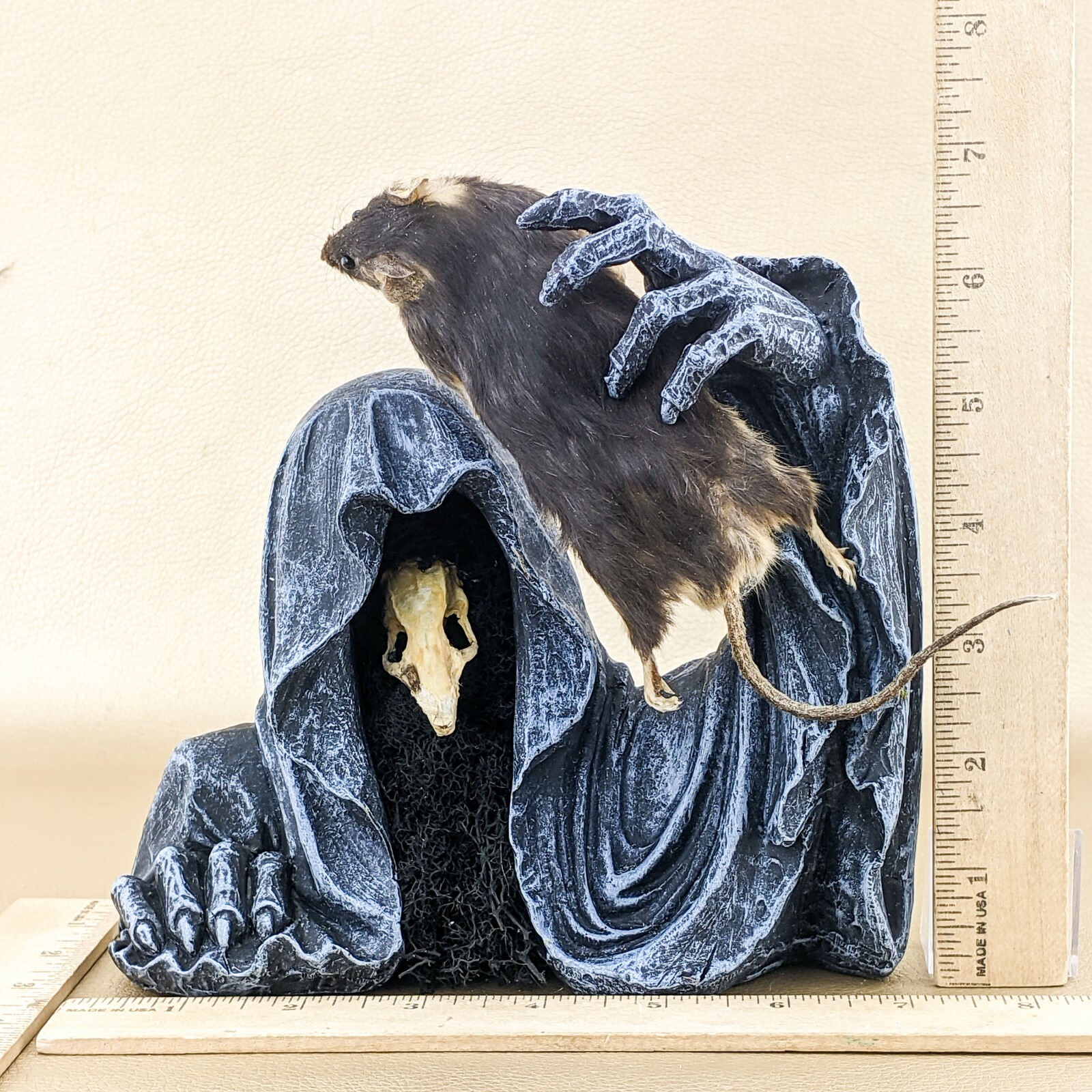 Real Rat skull & rat Grim Reaper display Taxidermy Oddities Curiosities ...
