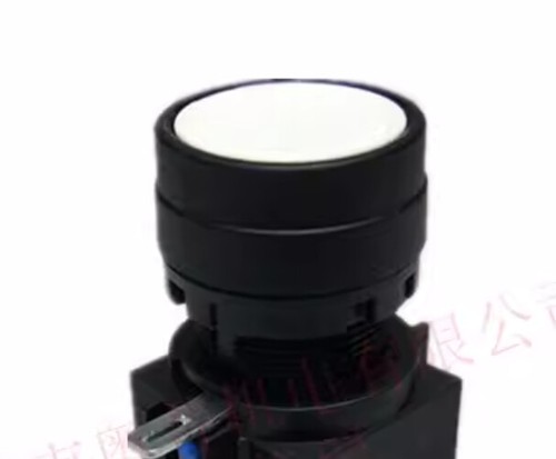 1pcs IDEC Push Button Switch 22mm HW1B-M120W 2NO | eBay