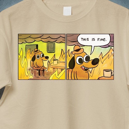 This is Fine Everything Is Fine Meme Shitpost Shirt, Funny Stupid ...