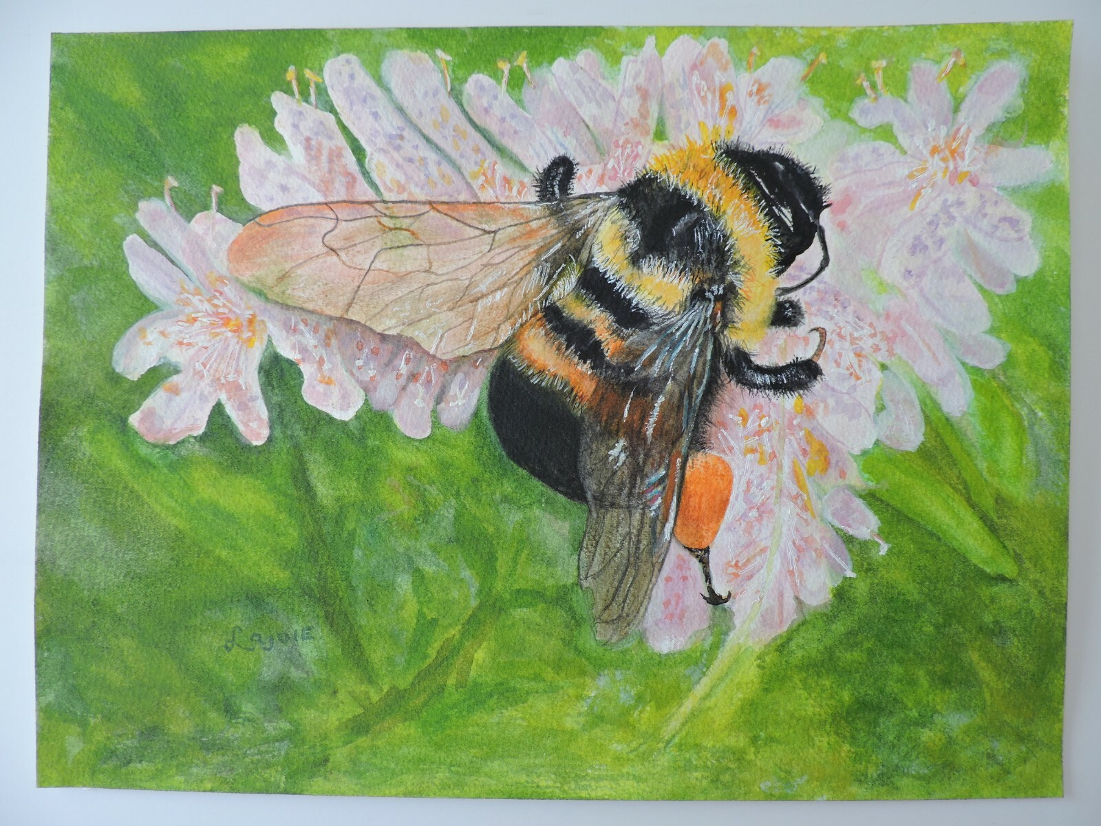 "Busy Bee" Original 9x12 Watercolor Painting Insect Pollinating Flower ...