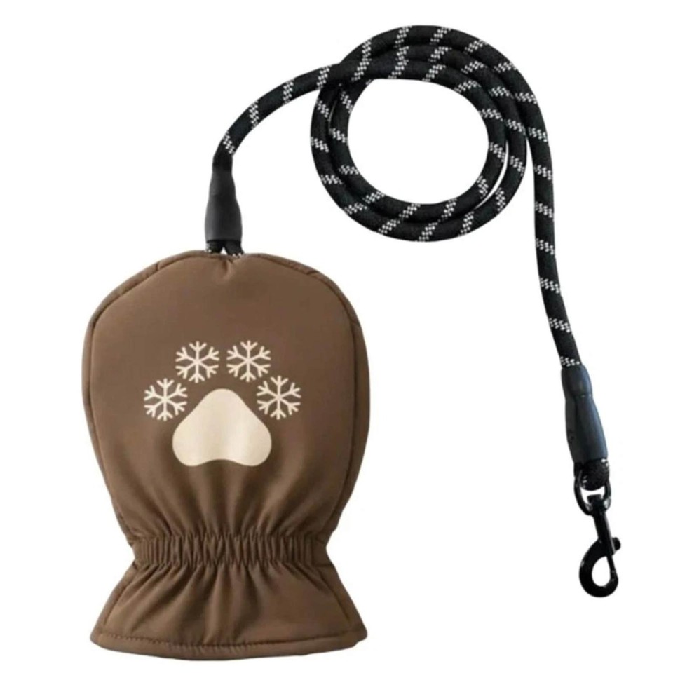 Hot Classic Tape Winter Dog Leash, with Built-in Thermal Mitten ...