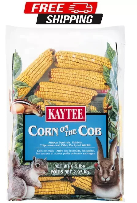 Kaytee Corn On The Cob Food For Wild Squirrels, Rabbits, Chipmunks and ...