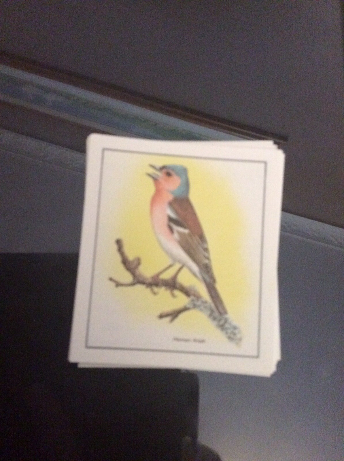 Wt3 Trade Card Cadbury’s 99 Flake Birds In Springtime - Chaffinch | eBay