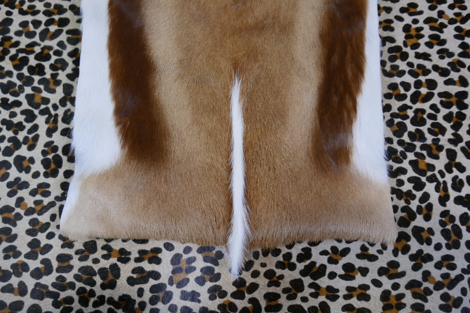 Springbok Skin Pillow Case Size: 17x17" African Springbok Hide Cushion ...