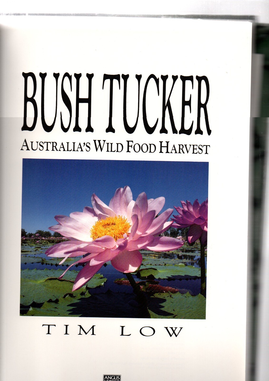 BUSH TUCKER, Australia's Wild Food Harvest by Tim Low 1989 Aboriginal ...