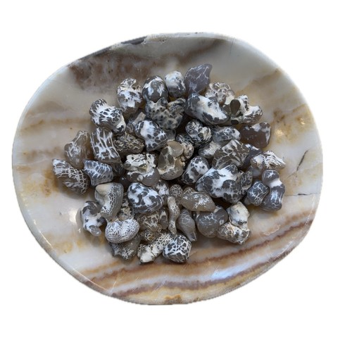 Snakeskin agate - spiritual healing crystal mineral stone authentic ...