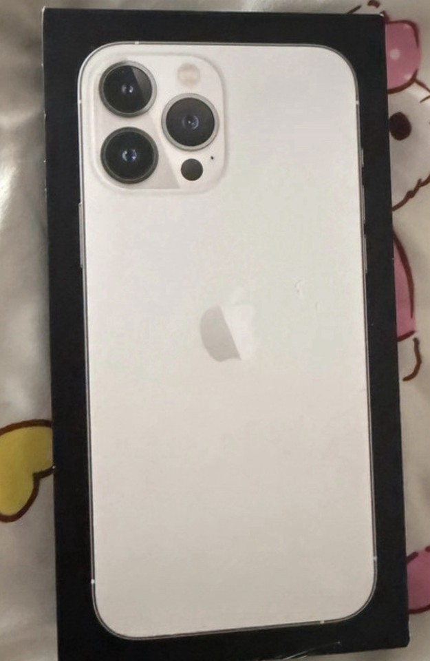 Apple iPhone 13 Pro Max – 256 GB – Sand – Neuwertig -nur Überweisen ...