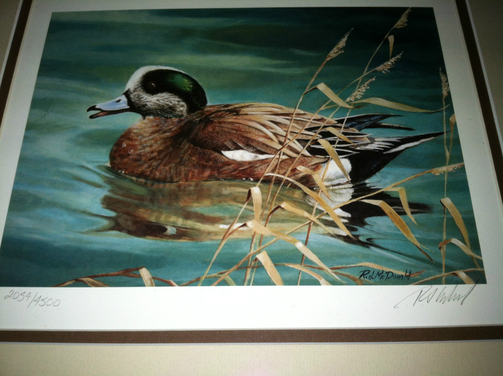 Ralph McDonald Ltd Ed #2054/4500 1996 Ducks Unlimited Annual Stamp ...