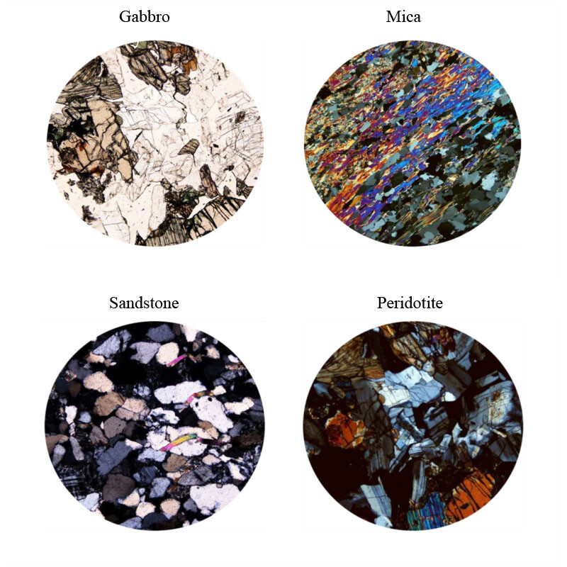 Gabbro Microscope