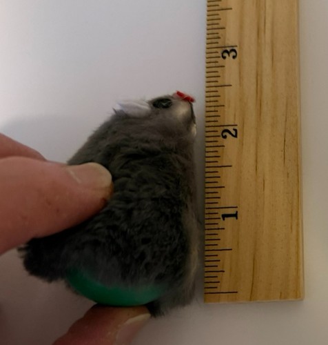 Go Cat Da Wobble Real Rabbit Fur Mice 3,4,6 Qty Da Bird Kitten fun | eBay