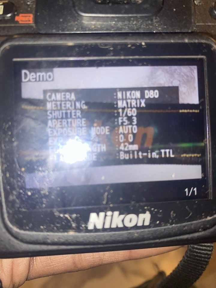 Nikon D80 Camera w/Nikon DX 18-135mm Lens W/charger & Back up Battery ...