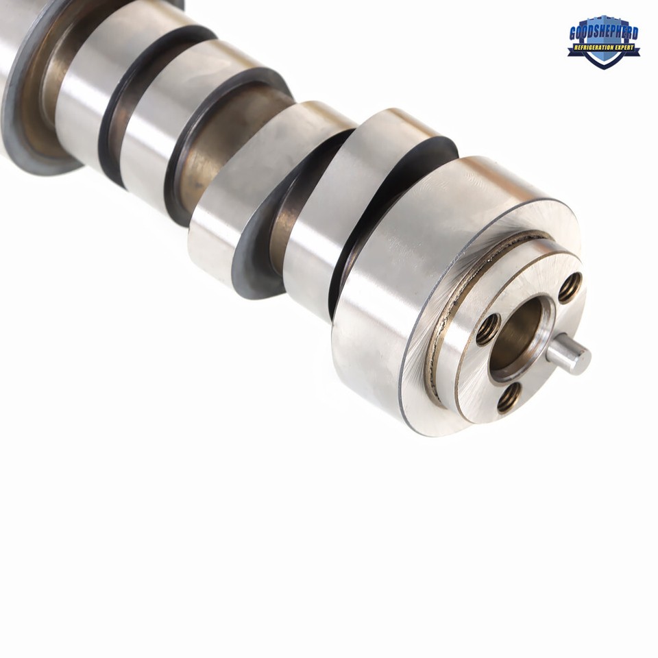 Sloppy Stage 2 Cam Camshaft Lifters Spring Kit E1840P For Chevrolet LS ...