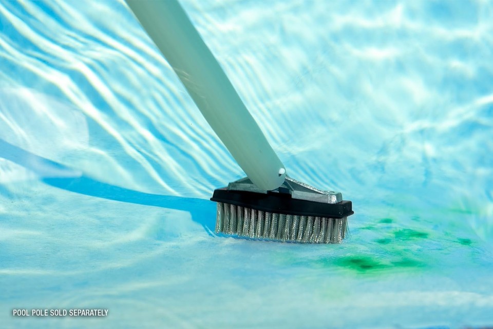 20178 Aluminum-Back Swimming Pool Algae Brush with 5-Inch Steel Brush 1 ...