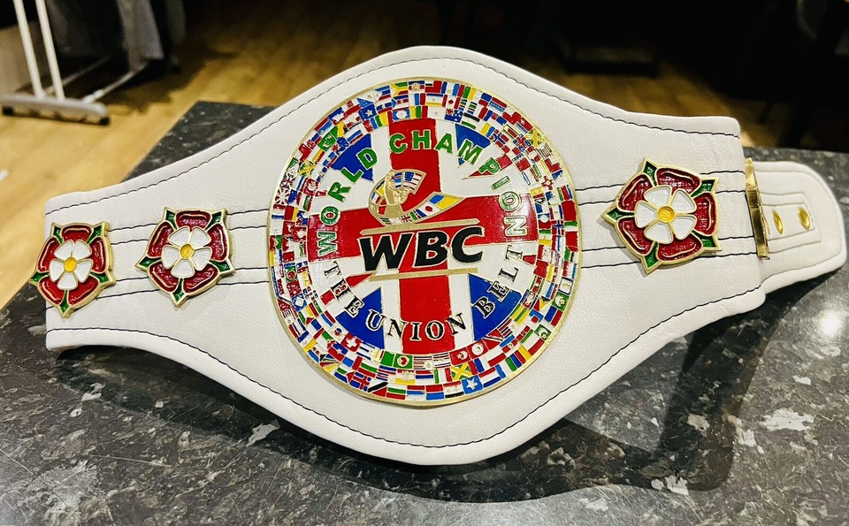 WBC UNION CHAMPION BELT WBC BELT WITH BRASS PLATES 3D WBC KIDS BOY MINI ...