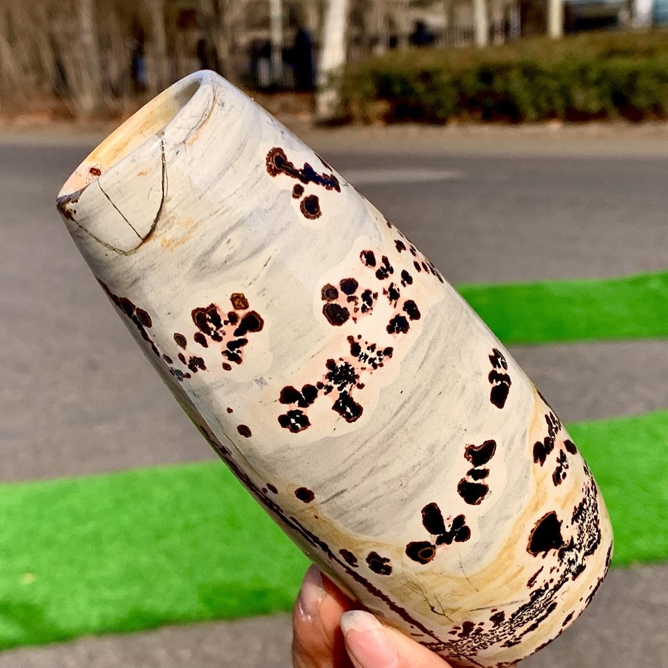 1.25LB Beautiful Natural Chinese Dendritic Limestone pen holder Stone ...