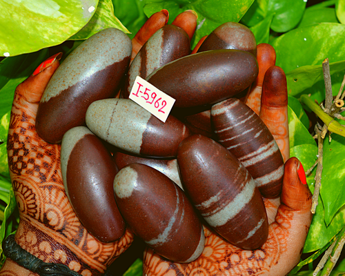 2 " Pour 3 " Mélange Narmadeshwar Shiva Lingam Is The Symbole De Union ...