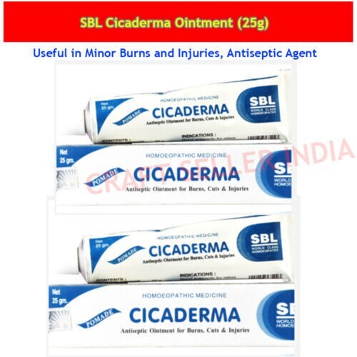 2 x SBL Homoeopathic Cicaderma Ointment 25gm | eBay