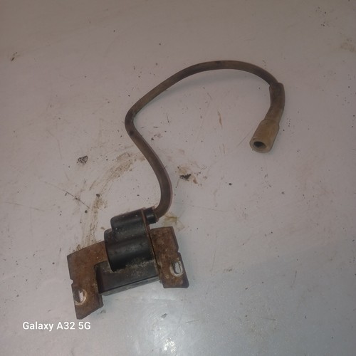 Briggs and Stratton 17.5 HP SIngle Cylinder Ignition Coil 799650 | eBay