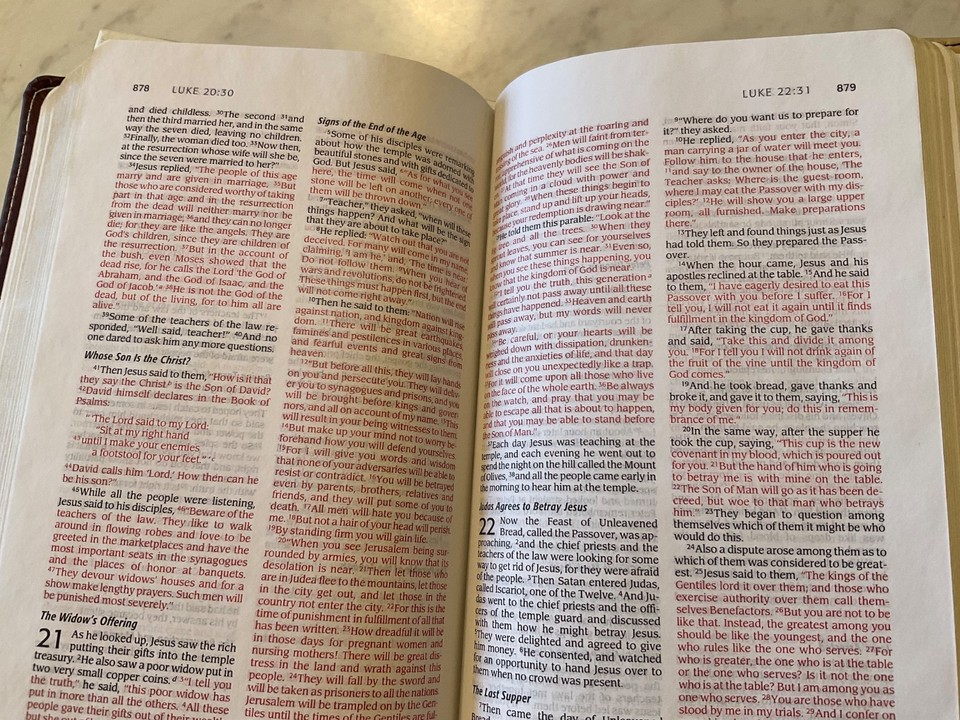 NIV Compact Thinline Bible 2006 Brown Tan DuoTone 1984 9780310937685| eBay
