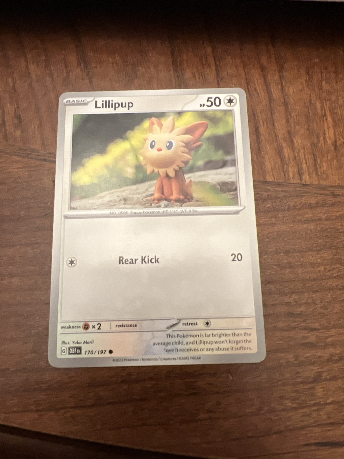 POKEMON Trading Card Basic Lillipup HP50 170/197 2023 | eBay