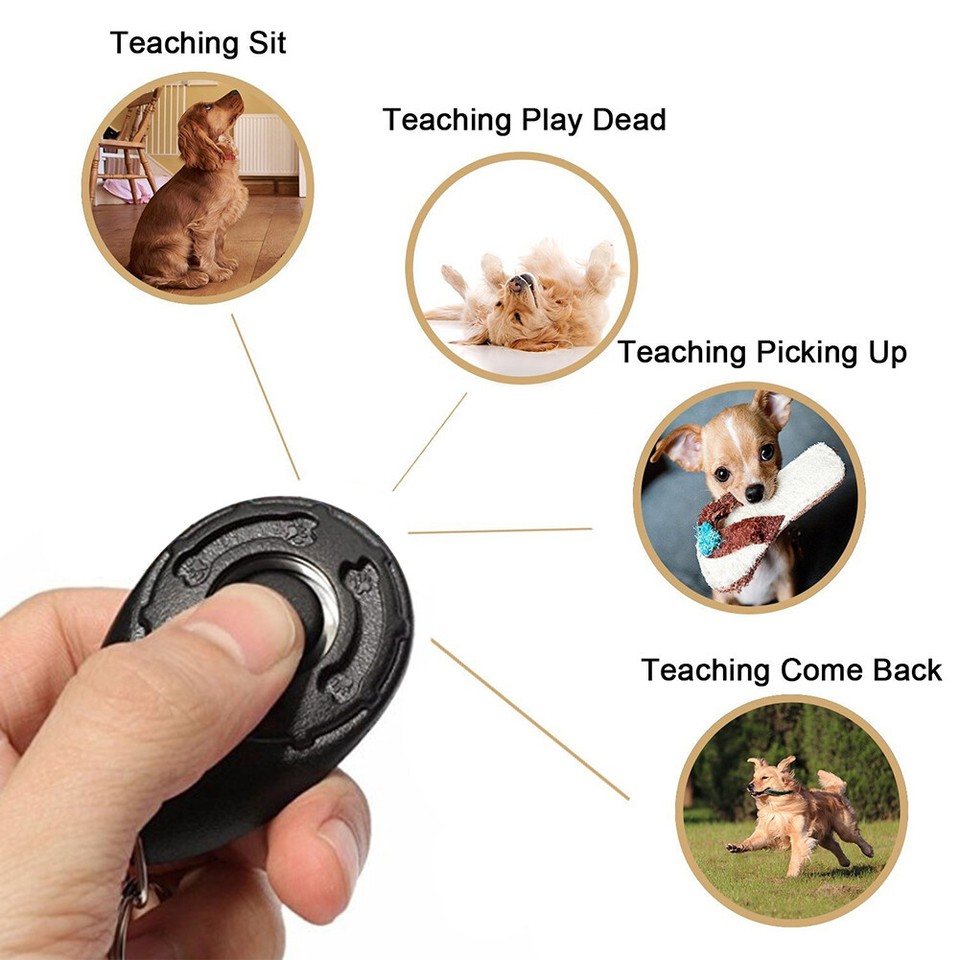 DOG PUPPY SCHOOL CLICKER Professional TRAINING AID Black Pet Trainer ...