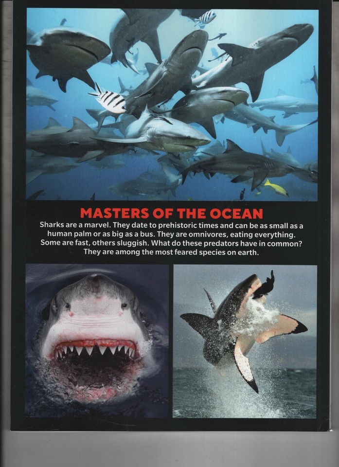 SHARKS PREDATORS OF THE SEA LIFE MAGAZINE 2025 COVER #1 | eBay
