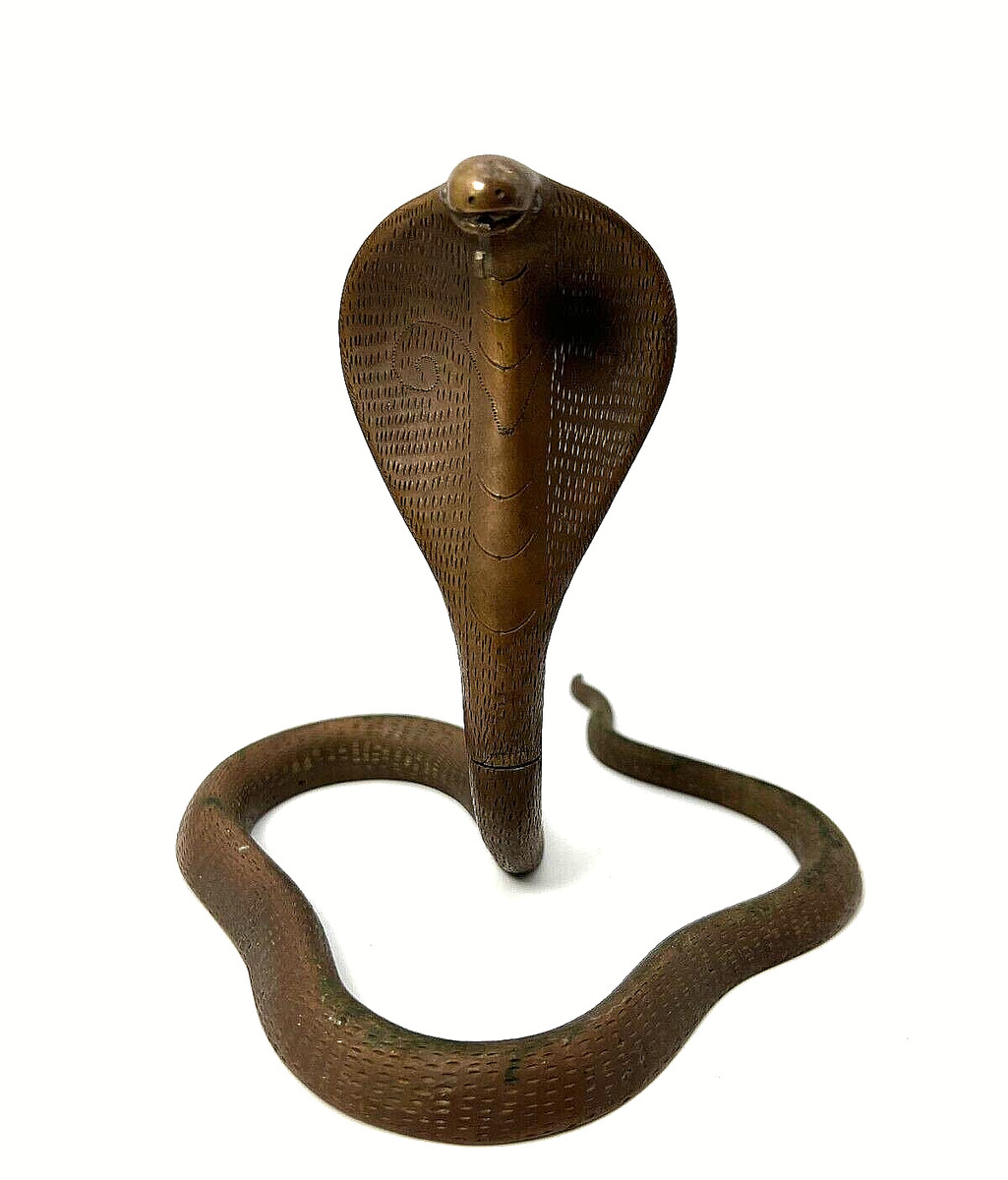 King Cobra Standing
