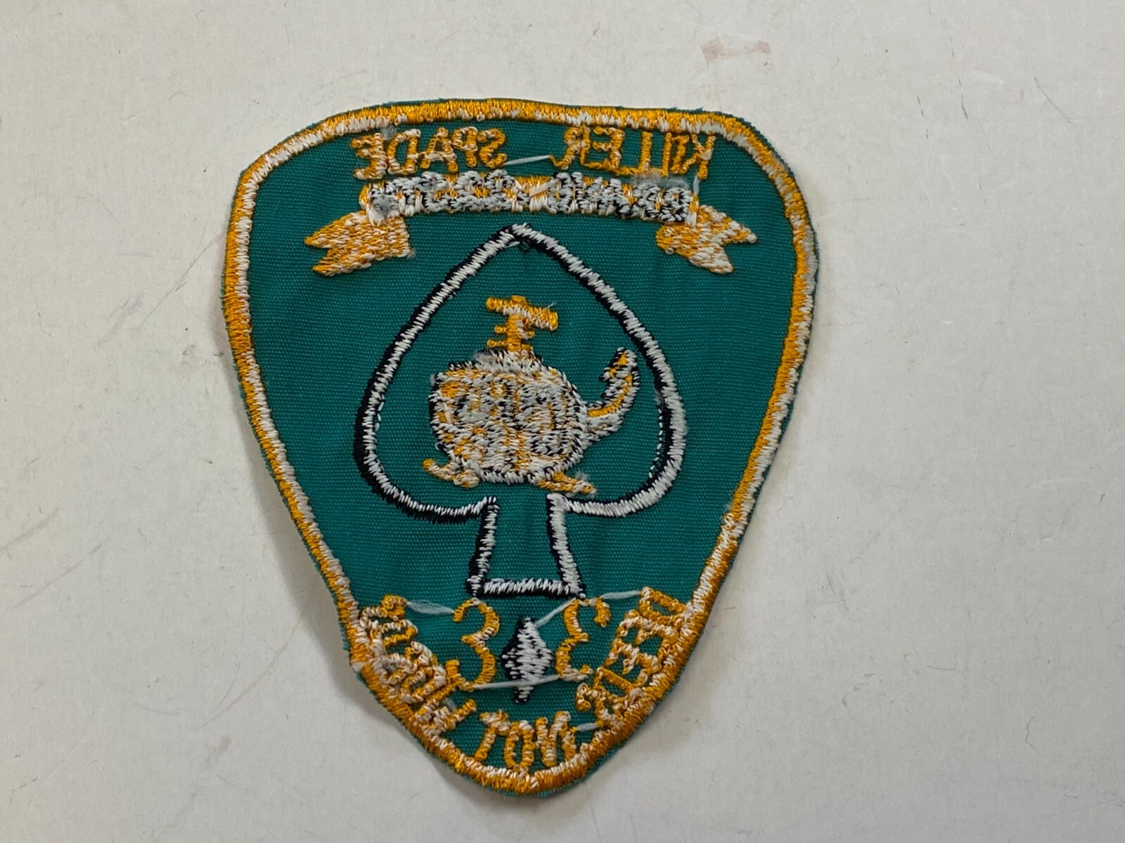 b9189 US Army Vietnam B Company 229th Assault Helicopter Battalion ...