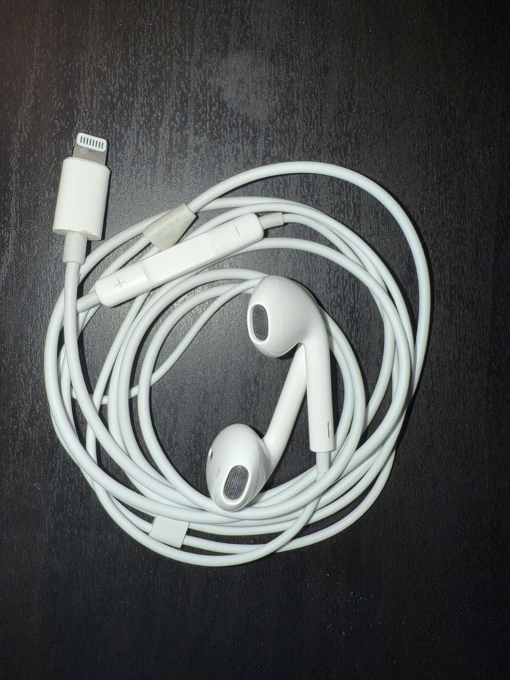 OEM iPhone EarPods & USB (New) / USBC Lightning Cables With SIM card Remover | eBay